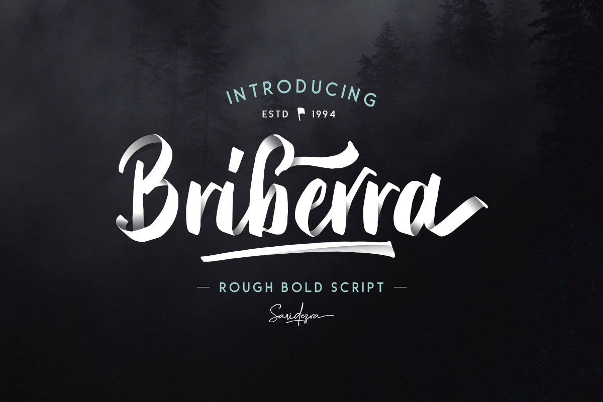 Briberra - Rough Bold Script – Pixel Surplus
