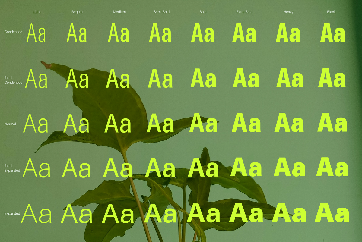 ZT Talk – Pixel Surplus