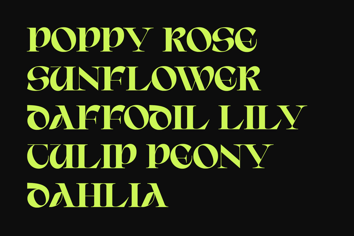 ED Brigid Typeface – Pixel Surplus