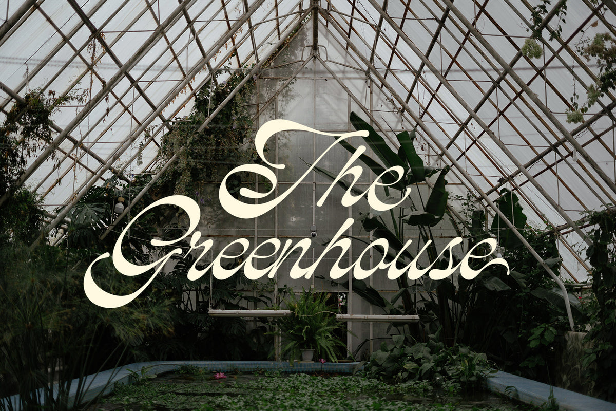 ED Mentasta - Script Typeface – Pixel Surplus