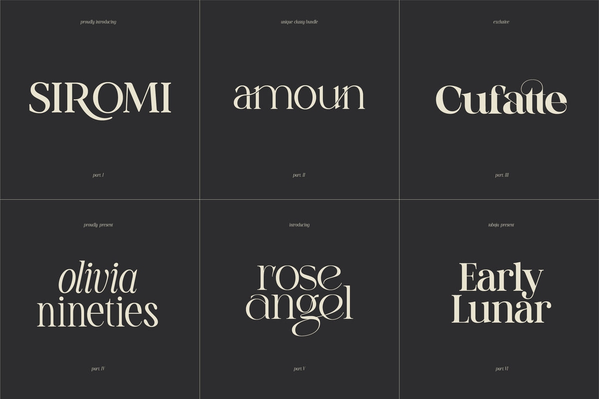 Unique & Classy Font bundle – Pixel Surplus