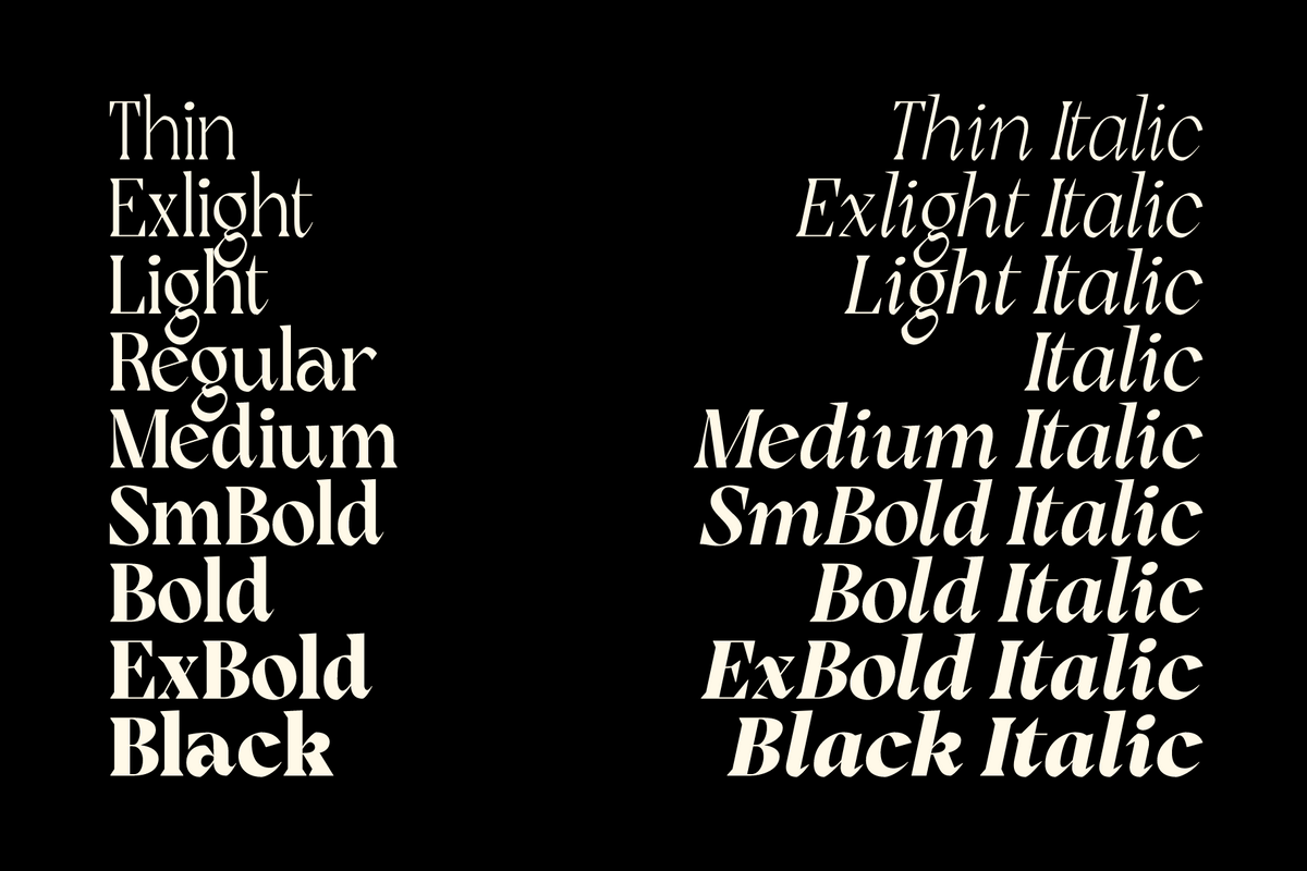 Rogik - Expressive Serif Font Family – Pixel Surplus