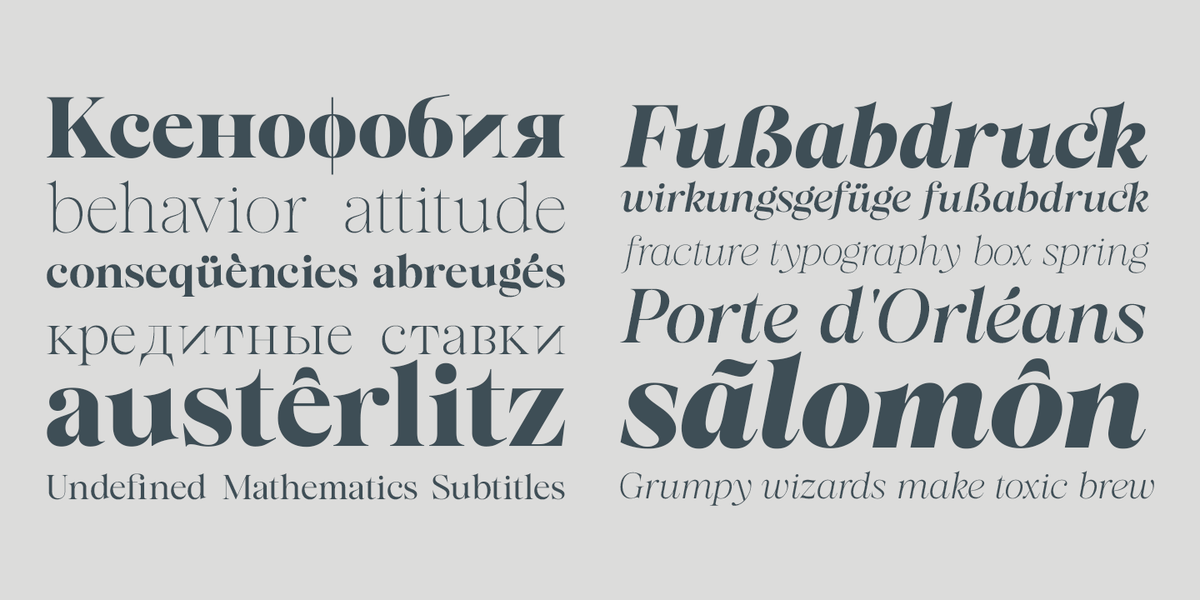 Almero Serif Family – Pixel Surplus