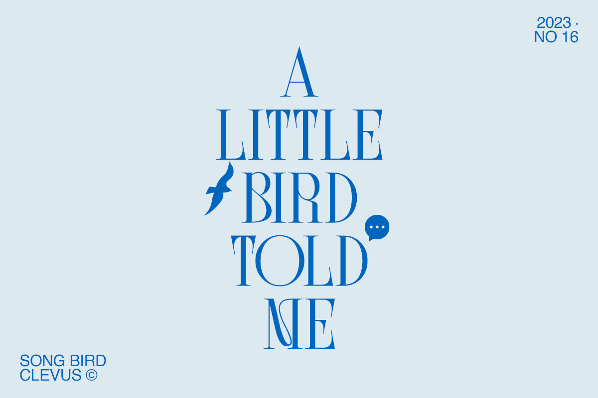Song Bird | Modern serif – Pixel Surplus