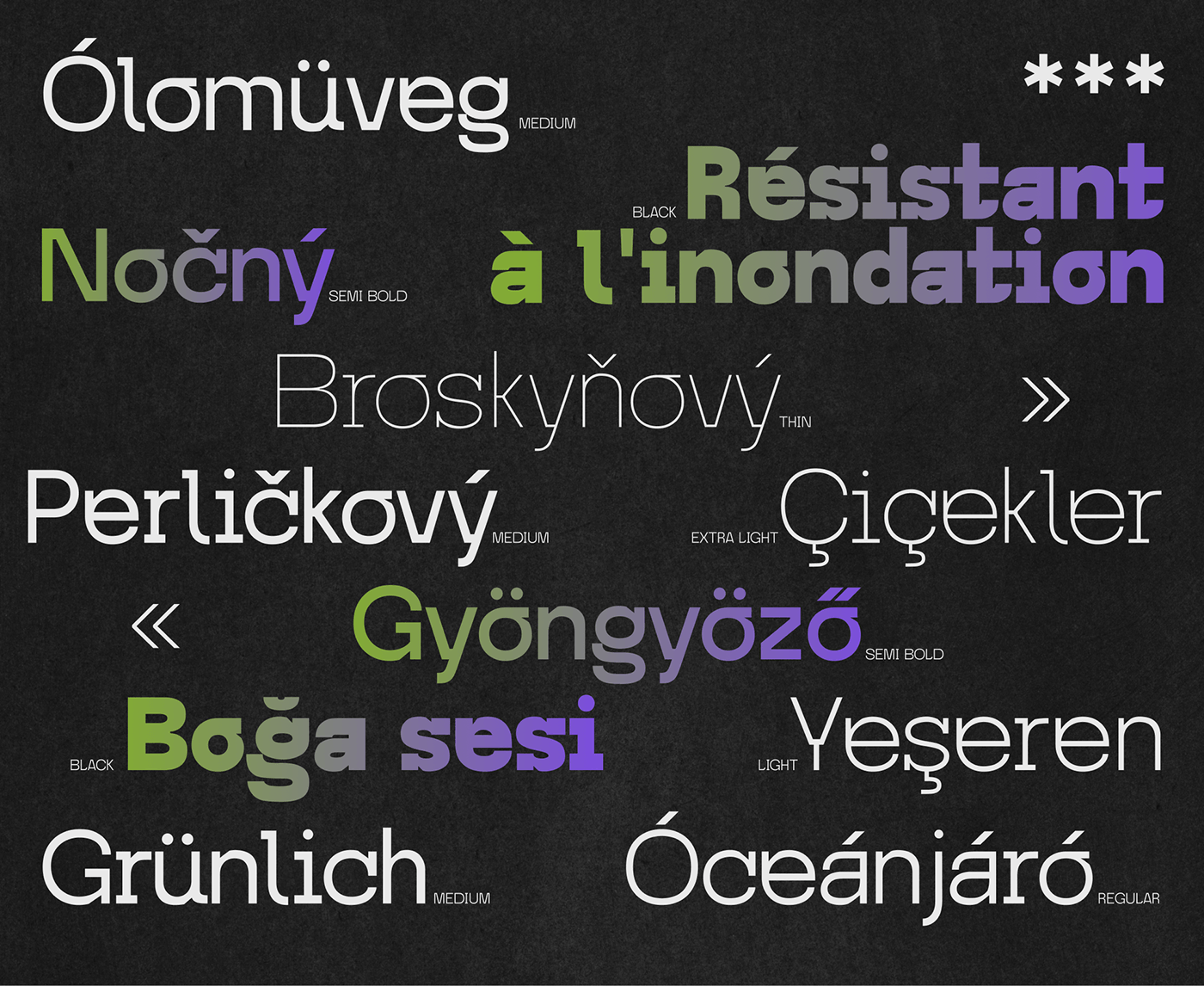 Bacilus Grotesque - Variable Typeface – Pixel Surplus