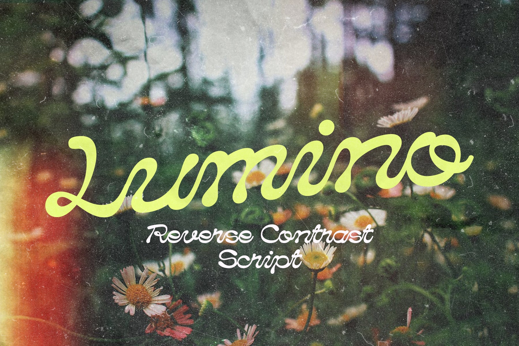 Lumino - Reverse Contrast Retro Script Typeface – Pixel Surplus