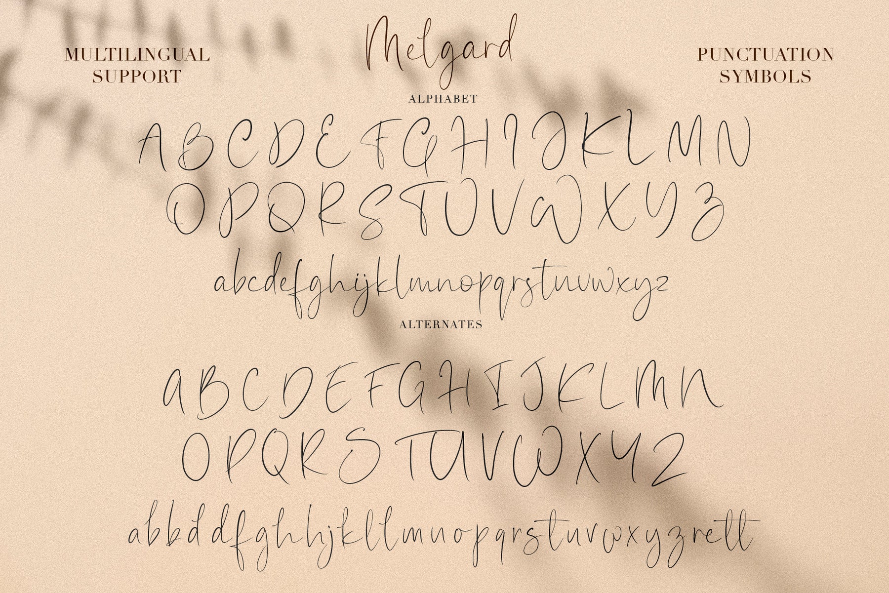 Melgard - Handwritten Script Font – Pixel Surplus