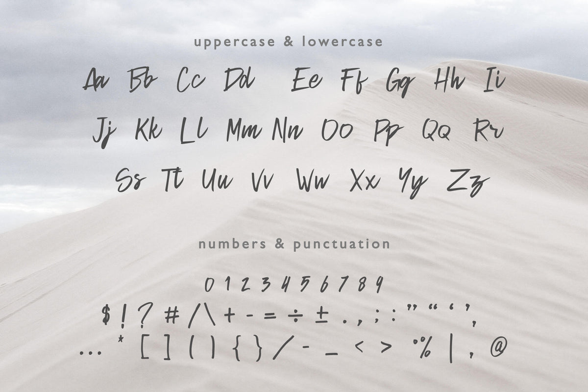 Helio - Free Simple Brush Script Font – Pixel Surplus