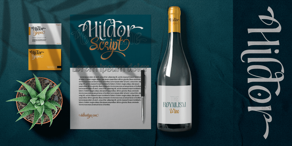 Hildor - Free Modern Display Font Family – Pixel Surplus