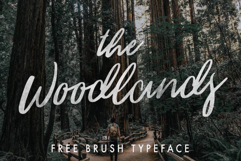 The Woodlands – Pixel Surplus